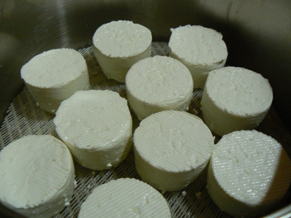 Fresh Cheese Recipe - Delicious, well explained and easy to make