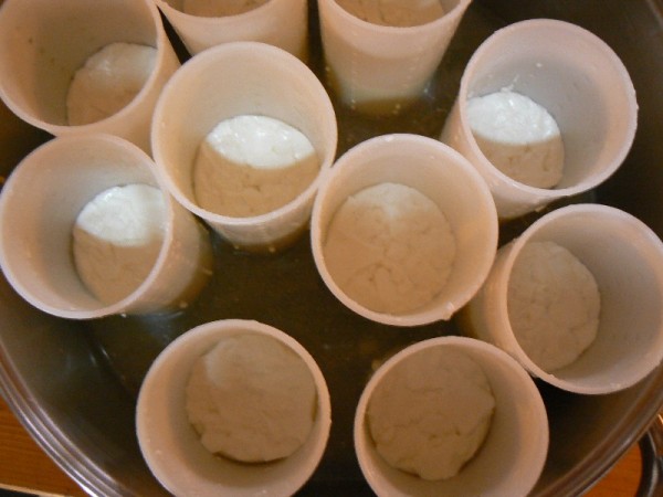 Fresh Cheese Recipe - Delicious, well explained and easy to make